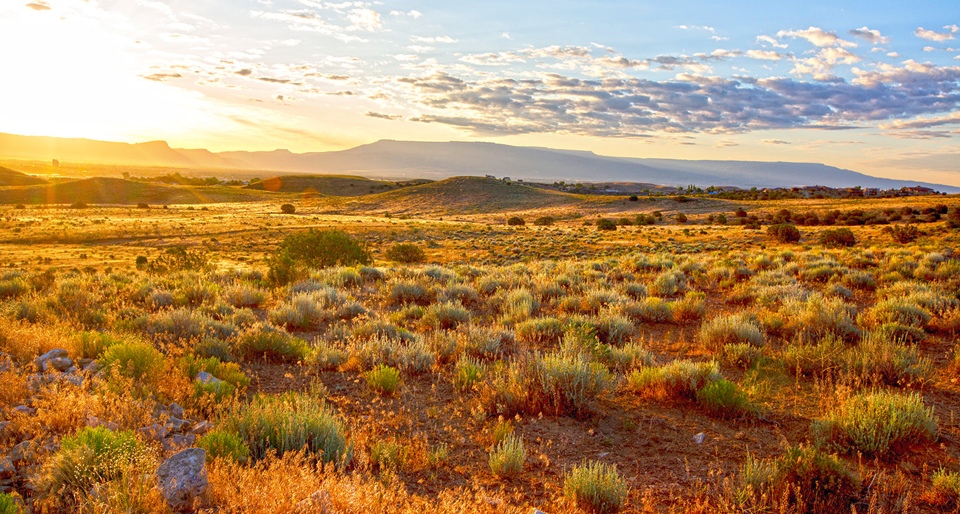 Easter Hill | Redlands 360 Community